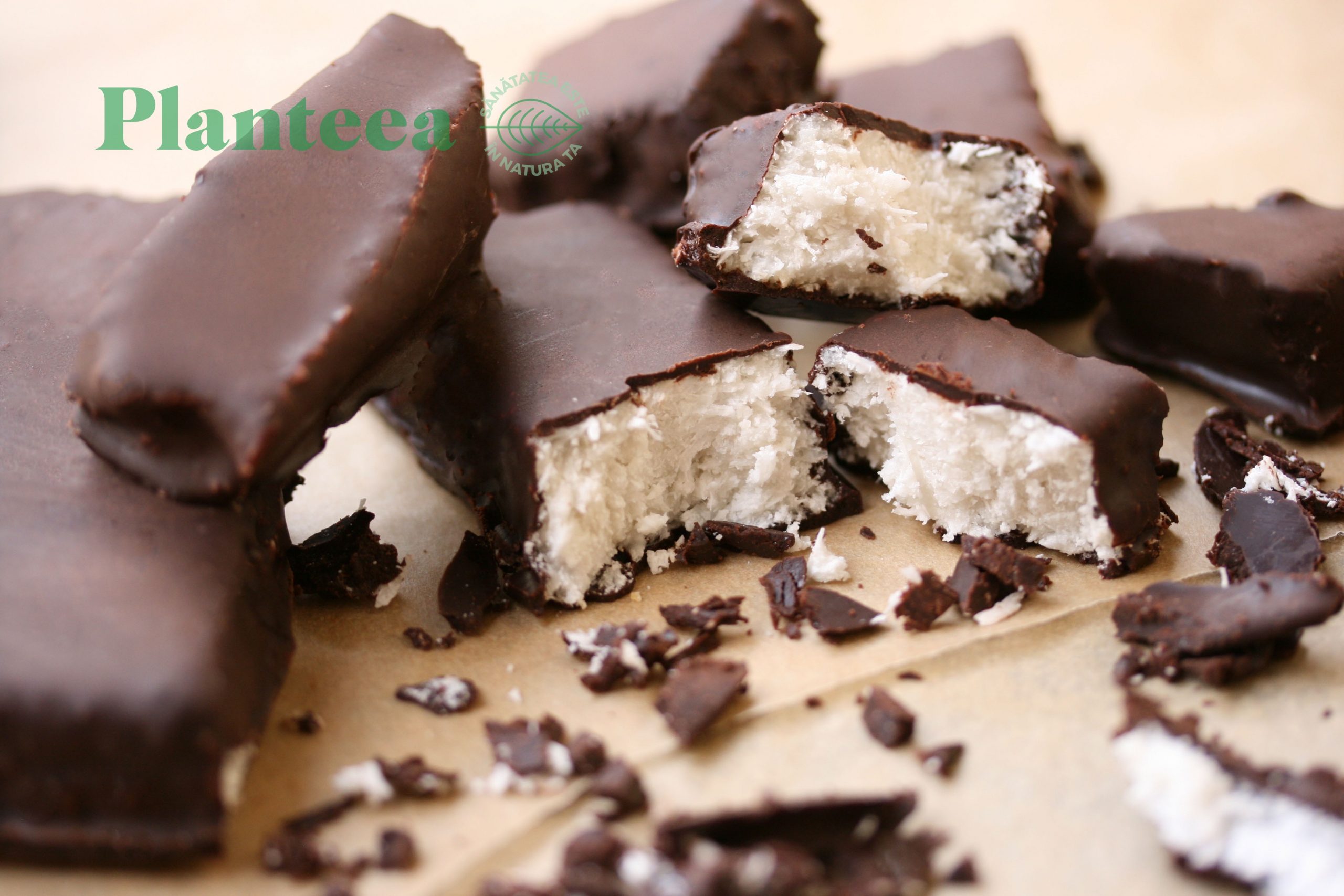 Bounty Raw Vegan - pași simpli, chiar la tine acasă - Blog Planteea