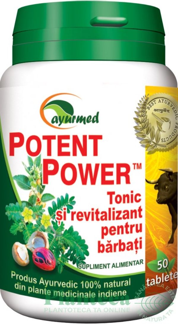 Potent-Power-size - Blog Planteea