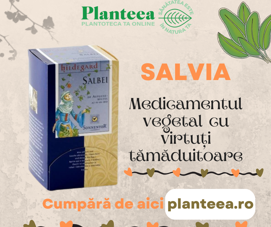 Shop-Now - Blog Planteea
