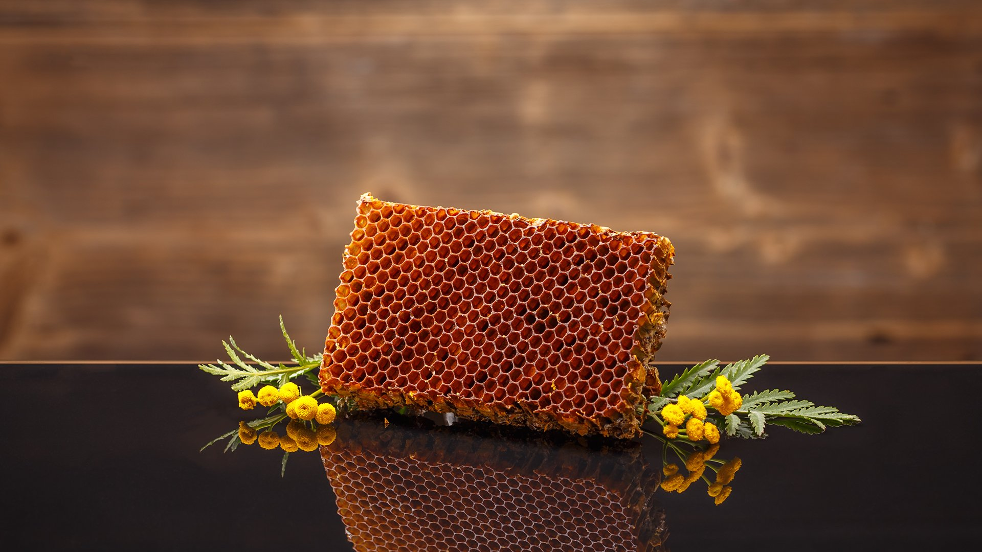 image-40 - Blog Planteea