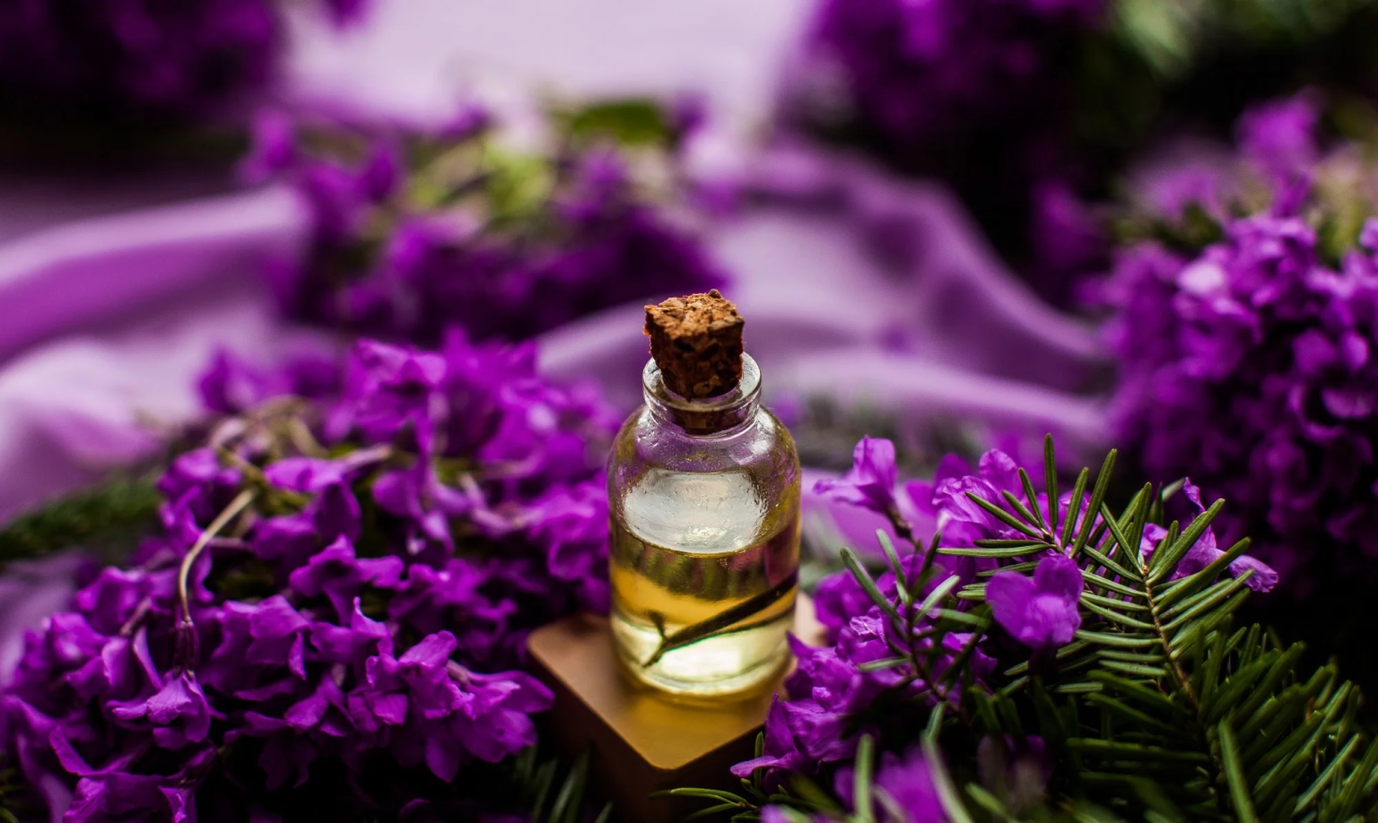 Lavanda: ce beneficii are, care sunt principalele soiuri, cum se ...