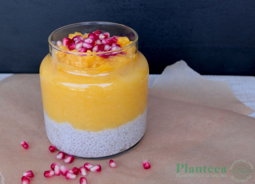 Budinca de Chia cu Piure de Mango si Rodie - Planteea