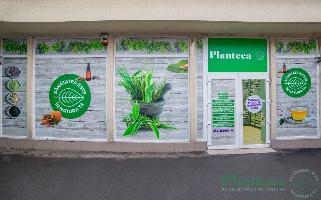 Magazine - Planteea