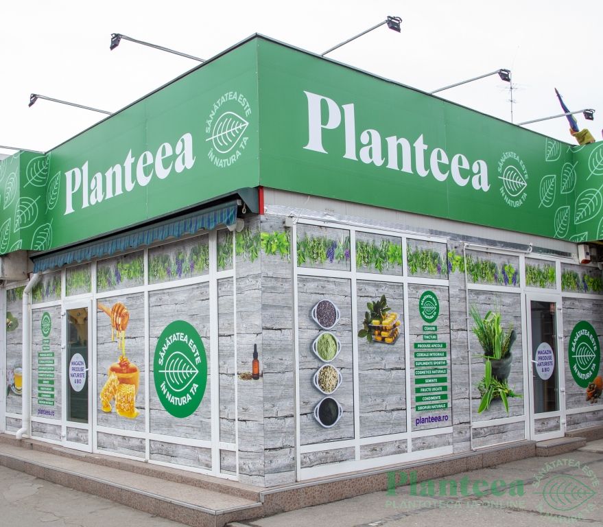 Magazine - Planteea