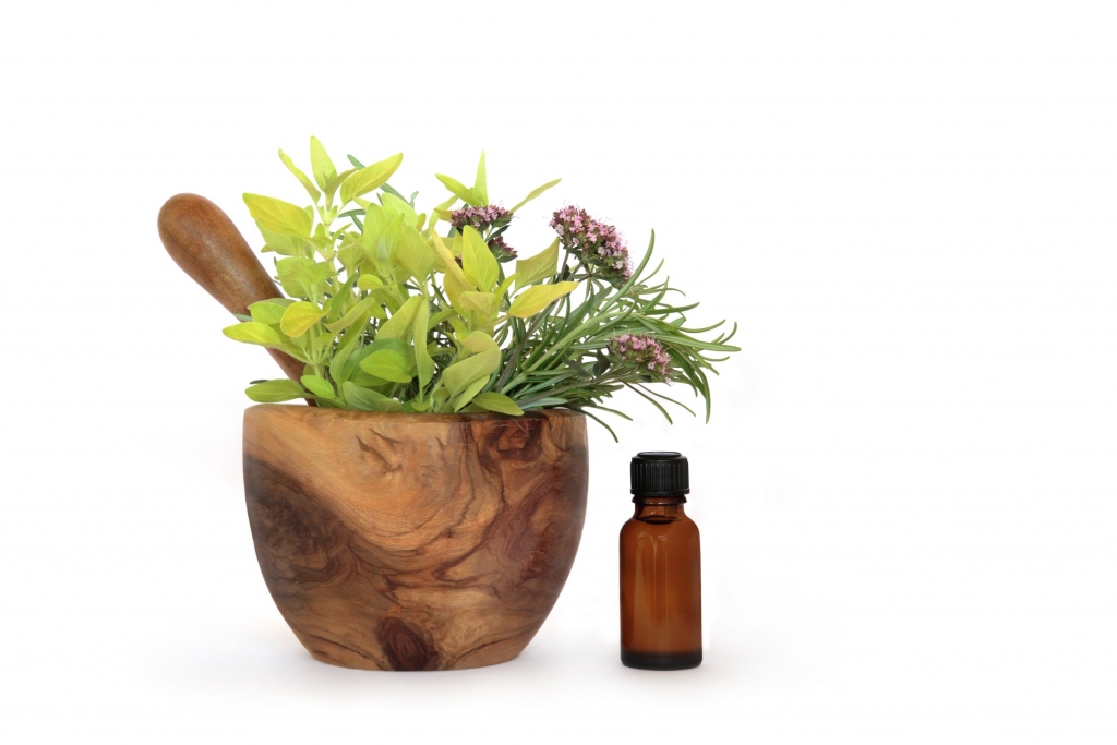 Fitoterapia - Planteea